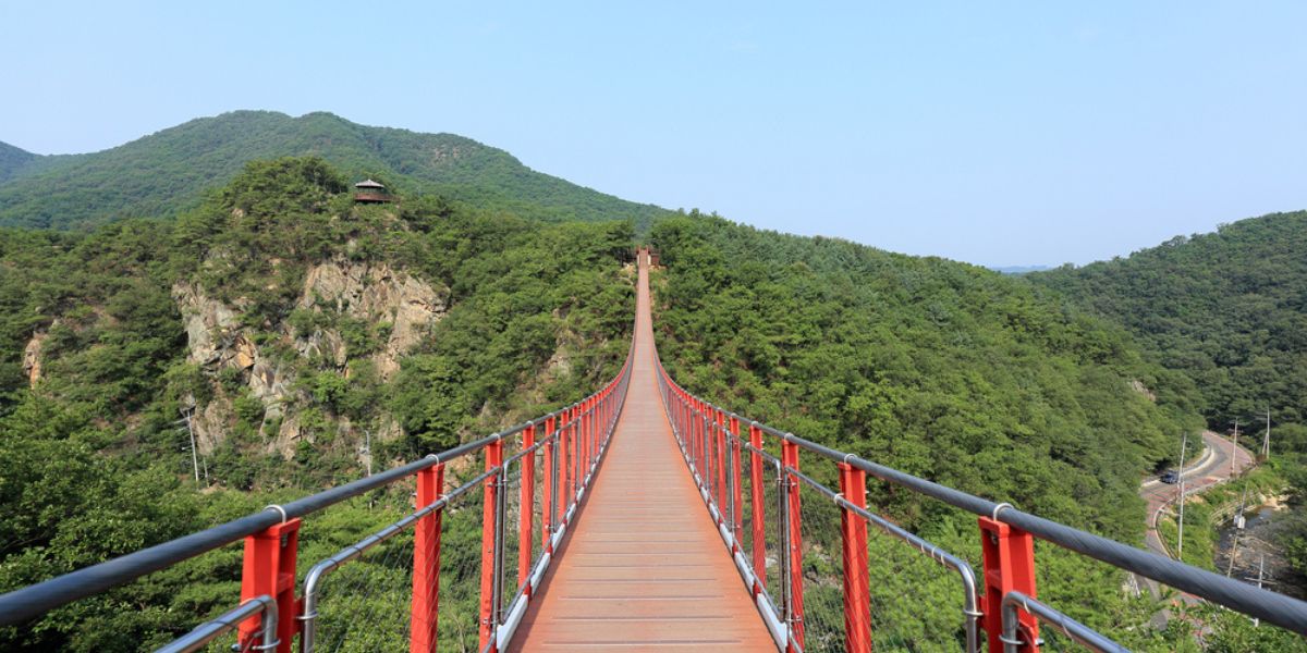 Beyond the Fence: How to Choose Your Korea DMZ Tour [2024] | South ...