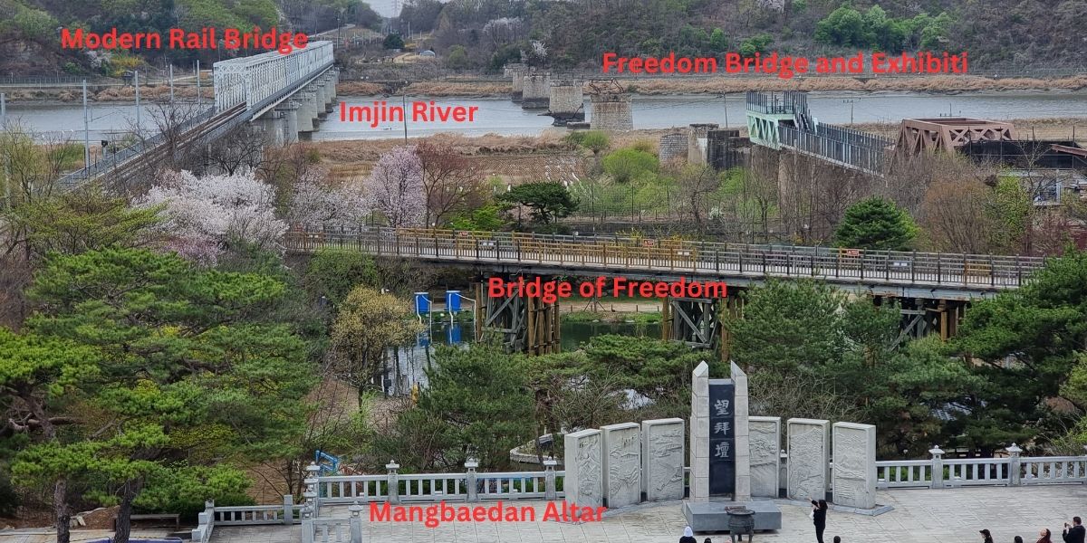 Beyond the Fence: How to Choose Your Korea DMZ Tour [2024] | South ...