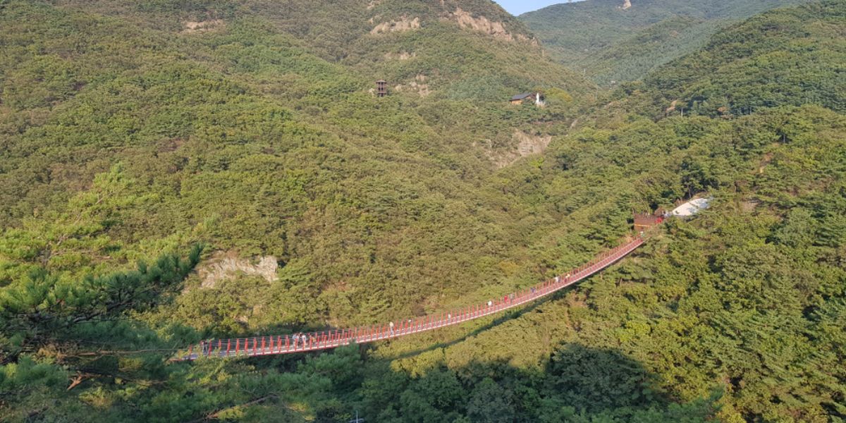 Beyond the Fence: How to Choose Your Korea DMZ Tour [2024] | South ...